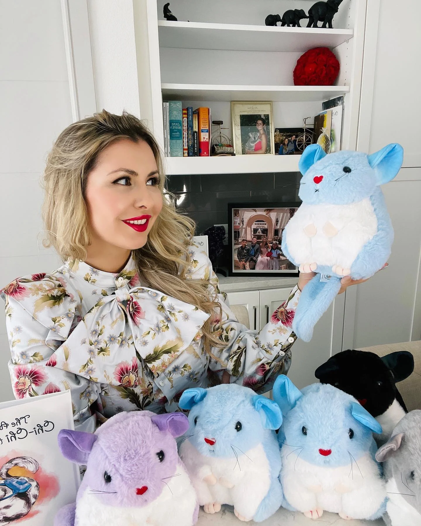 The Adventures of Chi-Chi the Chinchilla Books & Plush Toys
