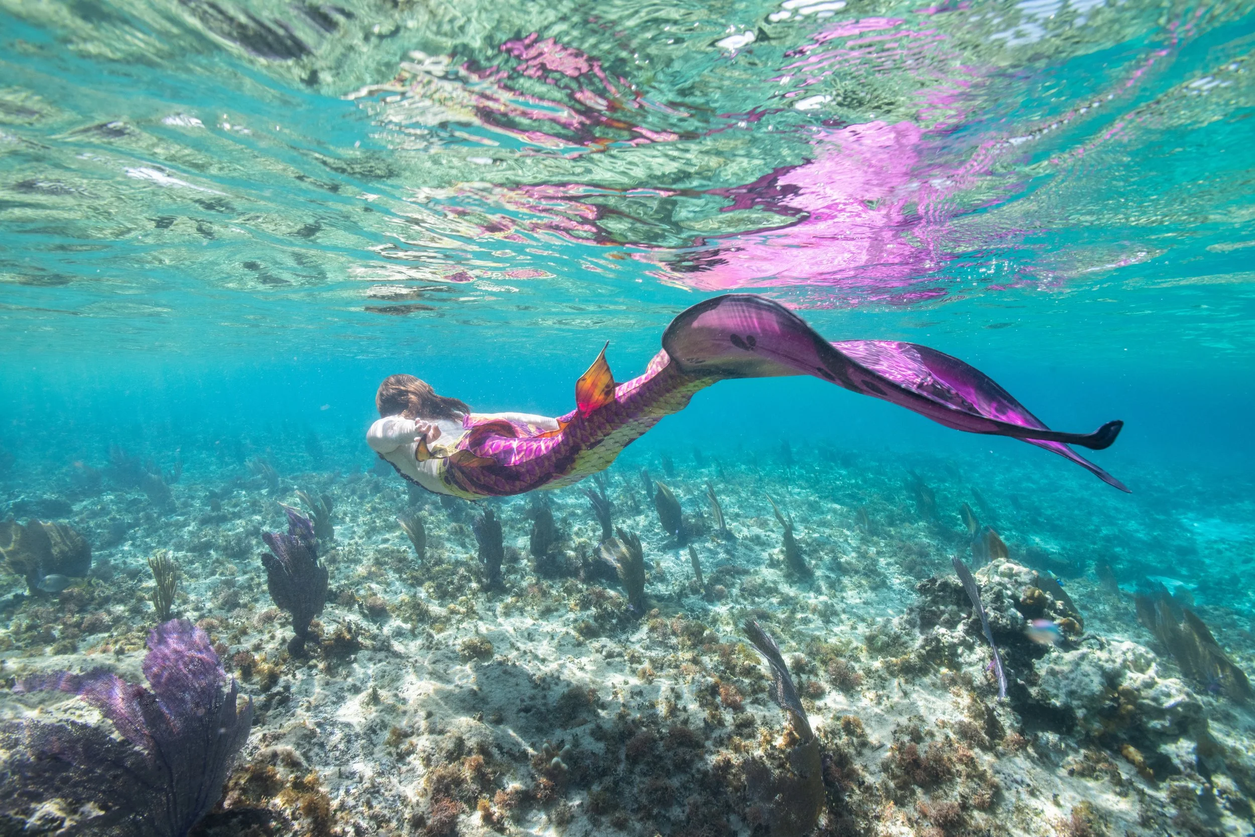 SSI mermaid course: become a mermaid — Mermaid Evi