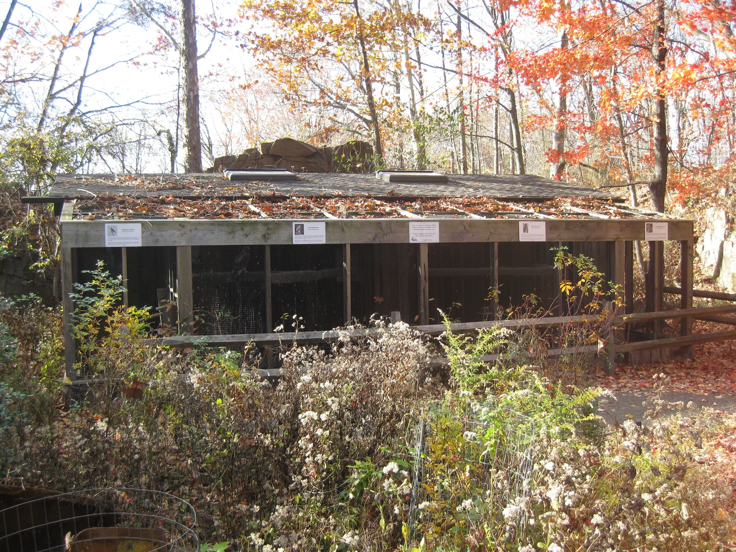 Visit — Flat Rock Brook