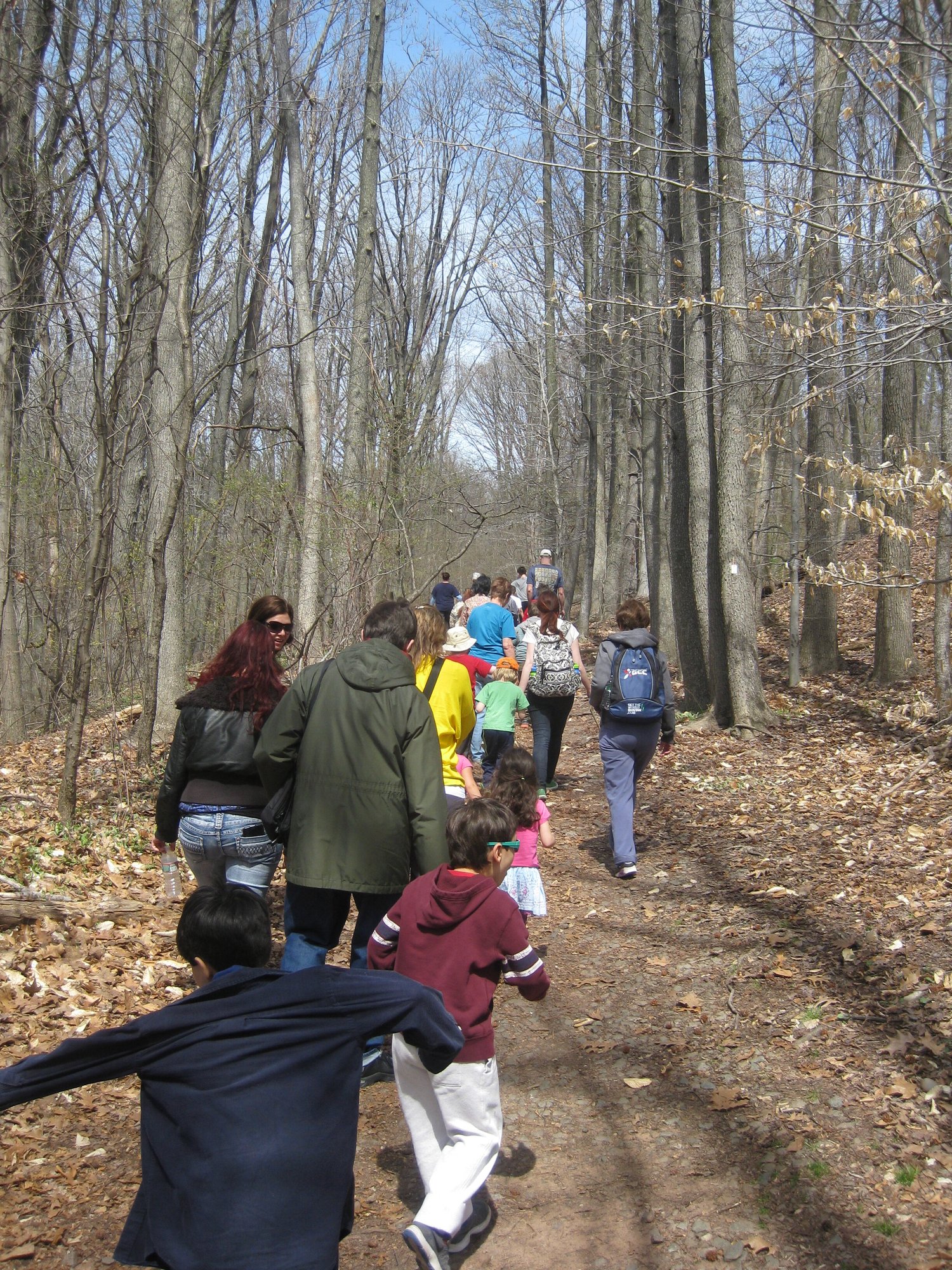 Programs — Flat Rock Brook