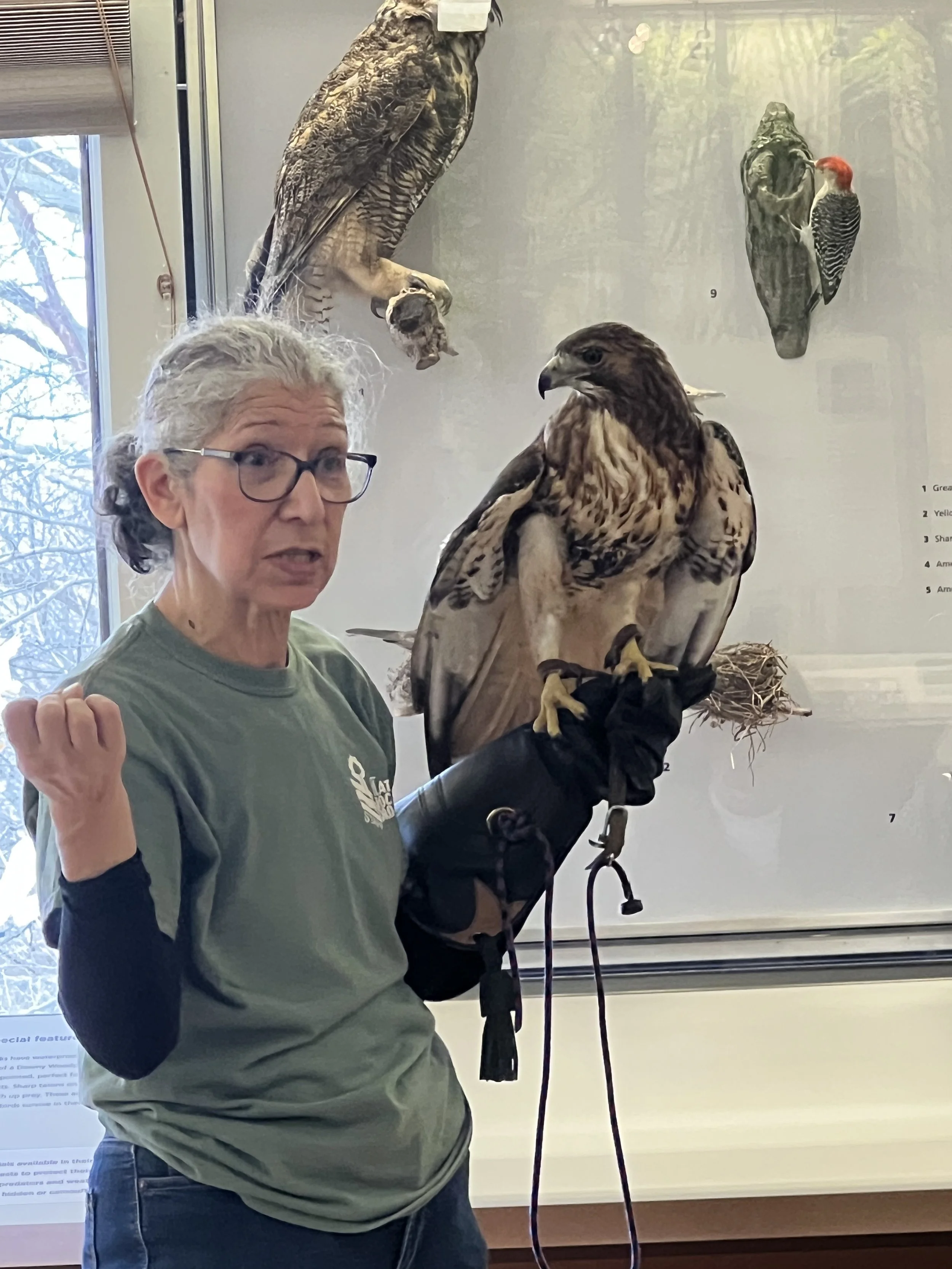 Programs — Flat Rock Brook