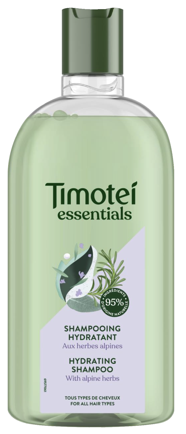 TIMOTEI