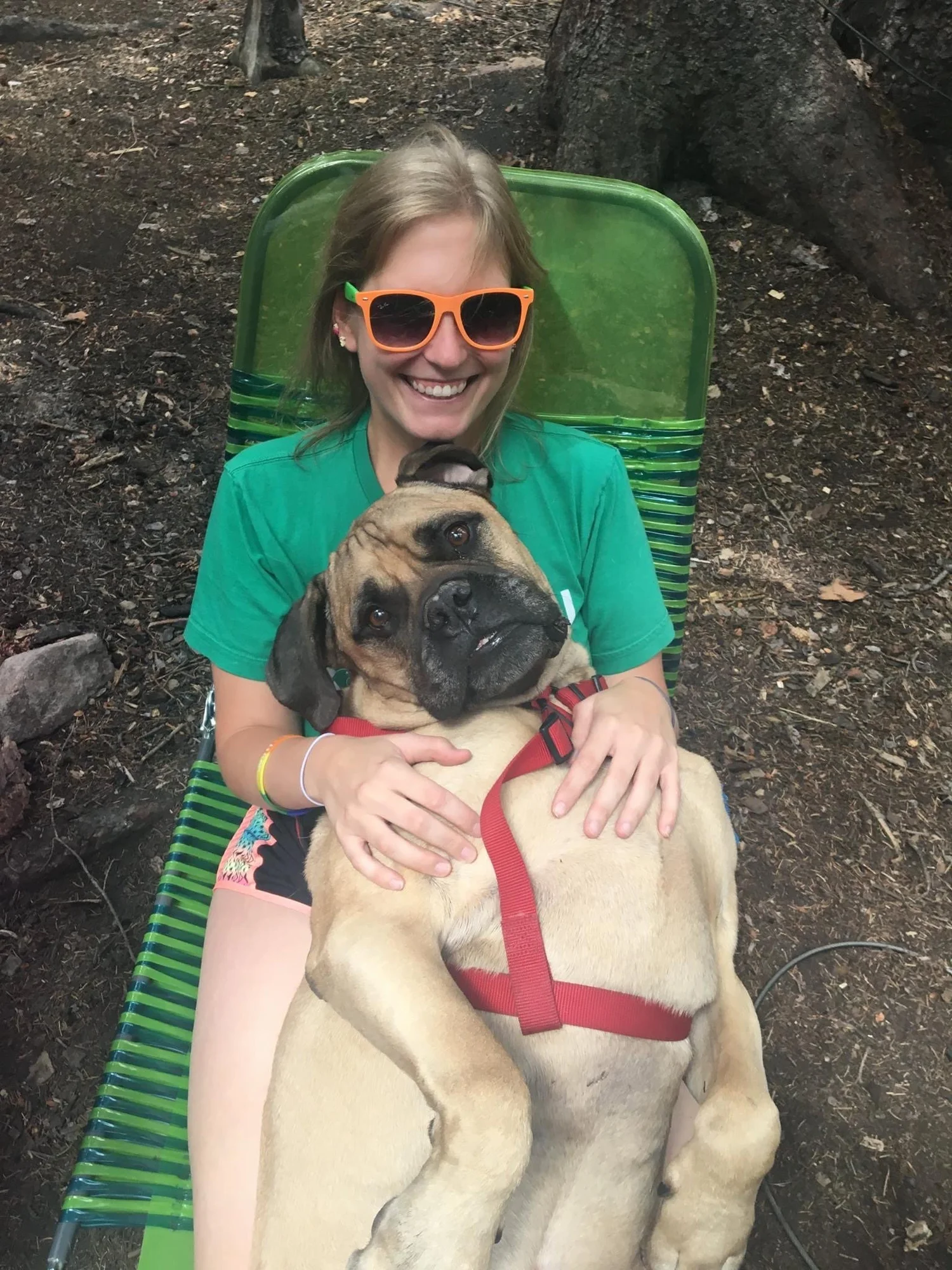 Our Team — Treeline Vet Cancer Care