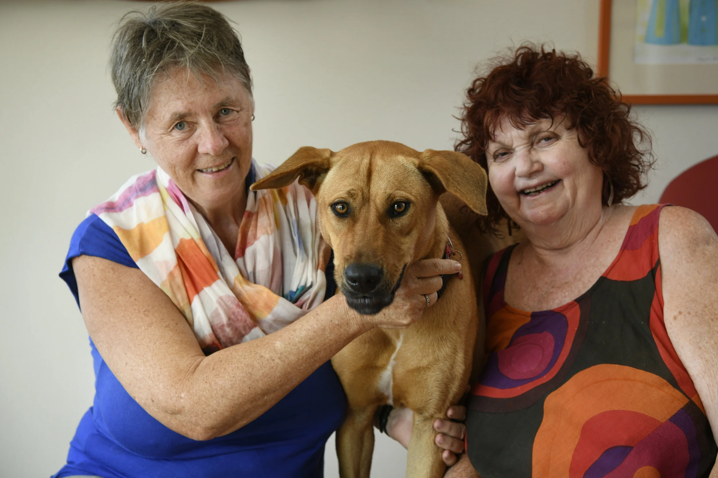 Trauma Trails, Recreating Song Lines: The Transgenerational Effects of ...