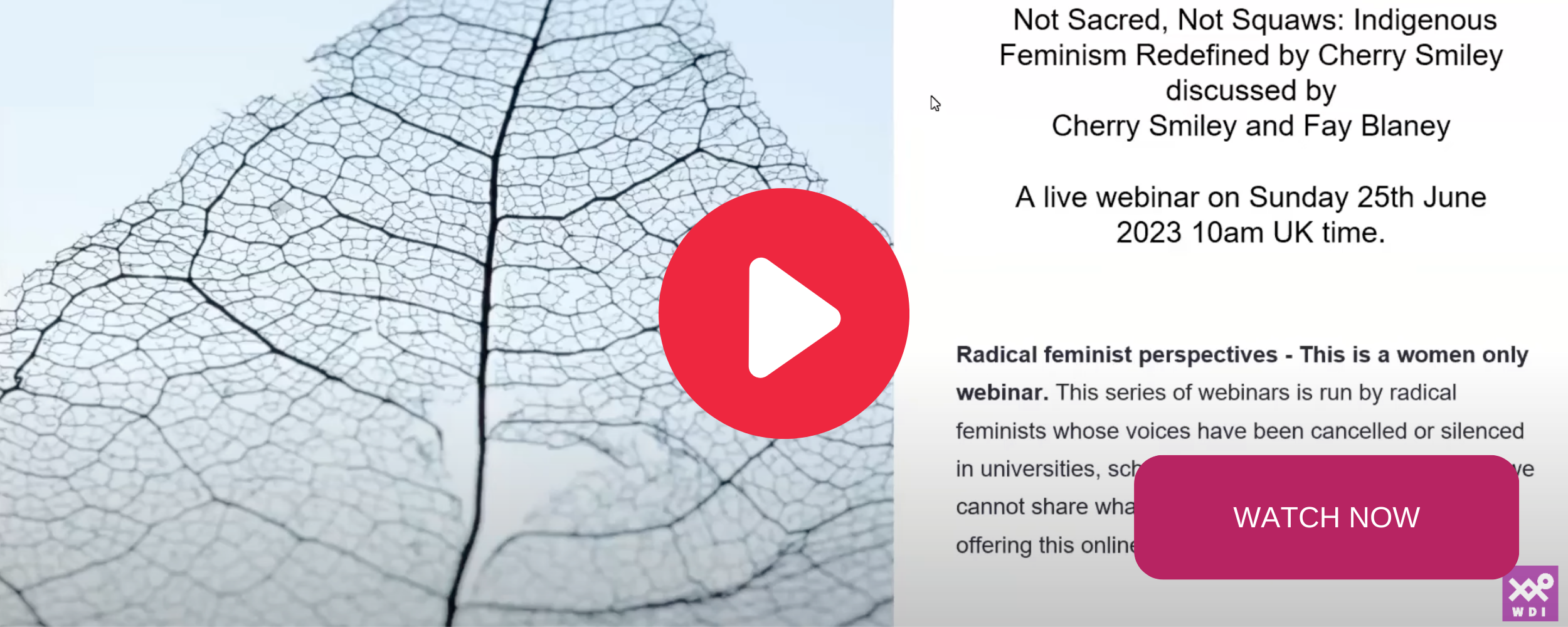 Not Sacred, Not Squaws: Indigenous Feminism Redefined — Spinifex Press