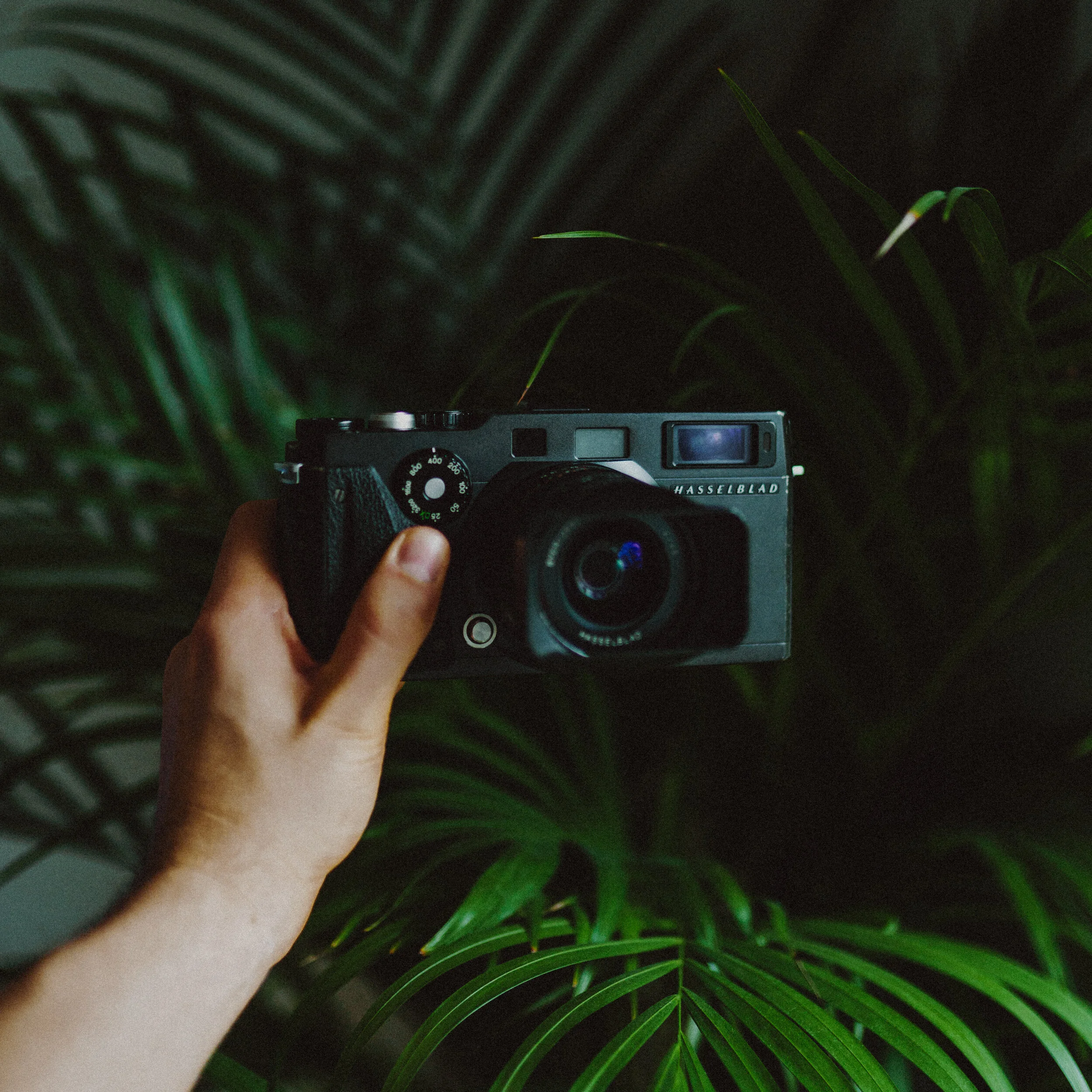 Camera Spotlight - Hasselblad Xpan — PHOTO CINEMATICA