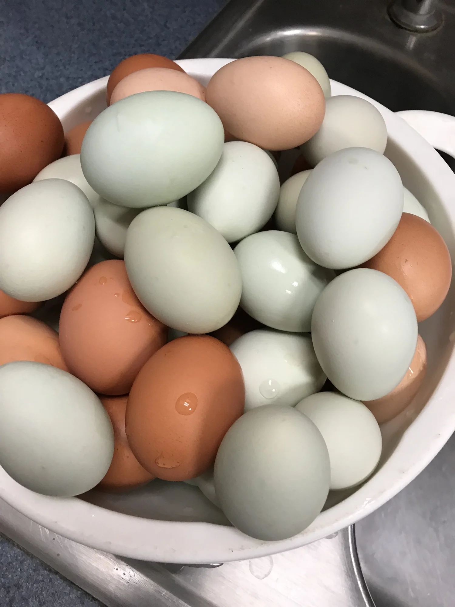 Farm Store — GUTIERREZ FAMILY FARMS Home