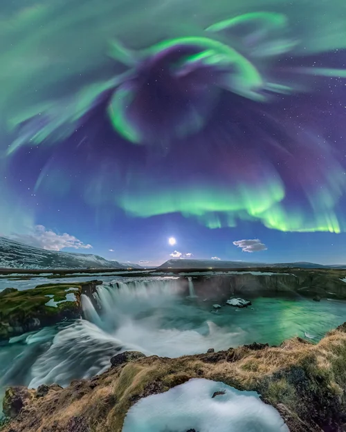 Nature and wildlife photography competition | WORLD NATURE PHOTOGRAPHY ...
