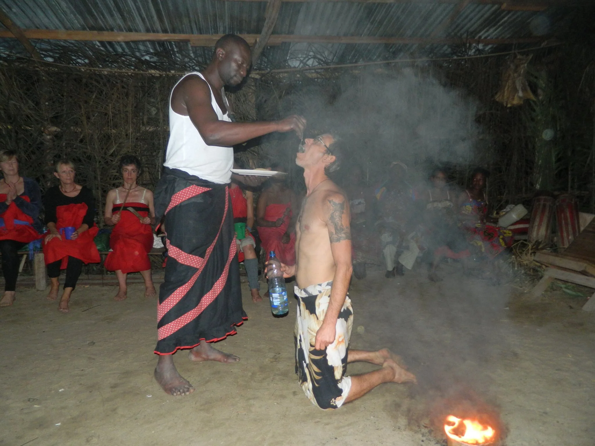 Guide to Tabernanthe Iboga | Bwiti Living & Learning Center