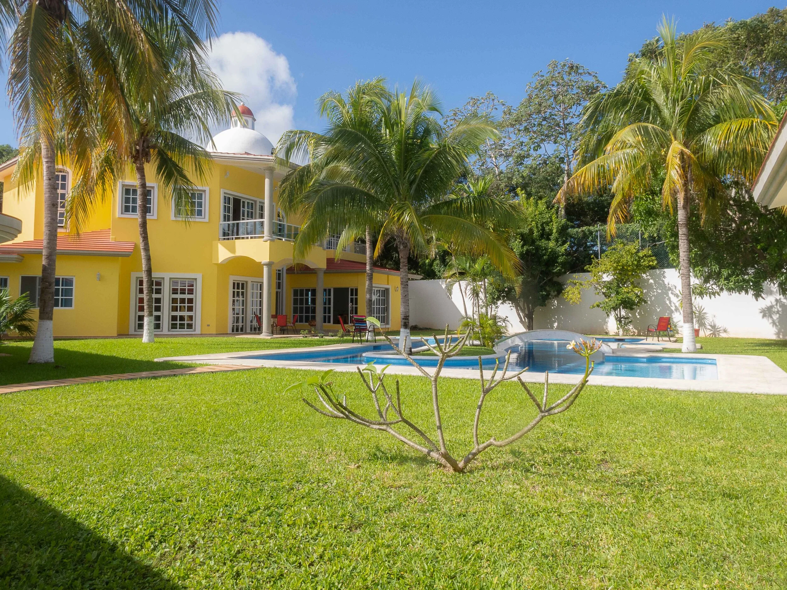 First Timers | Bwiti Living & Learning Center