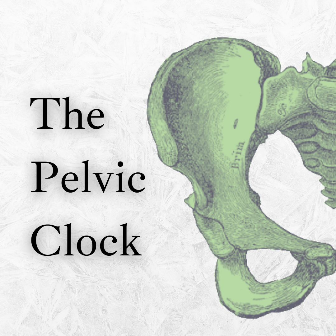 Feldenkrais in Jamaica Plain