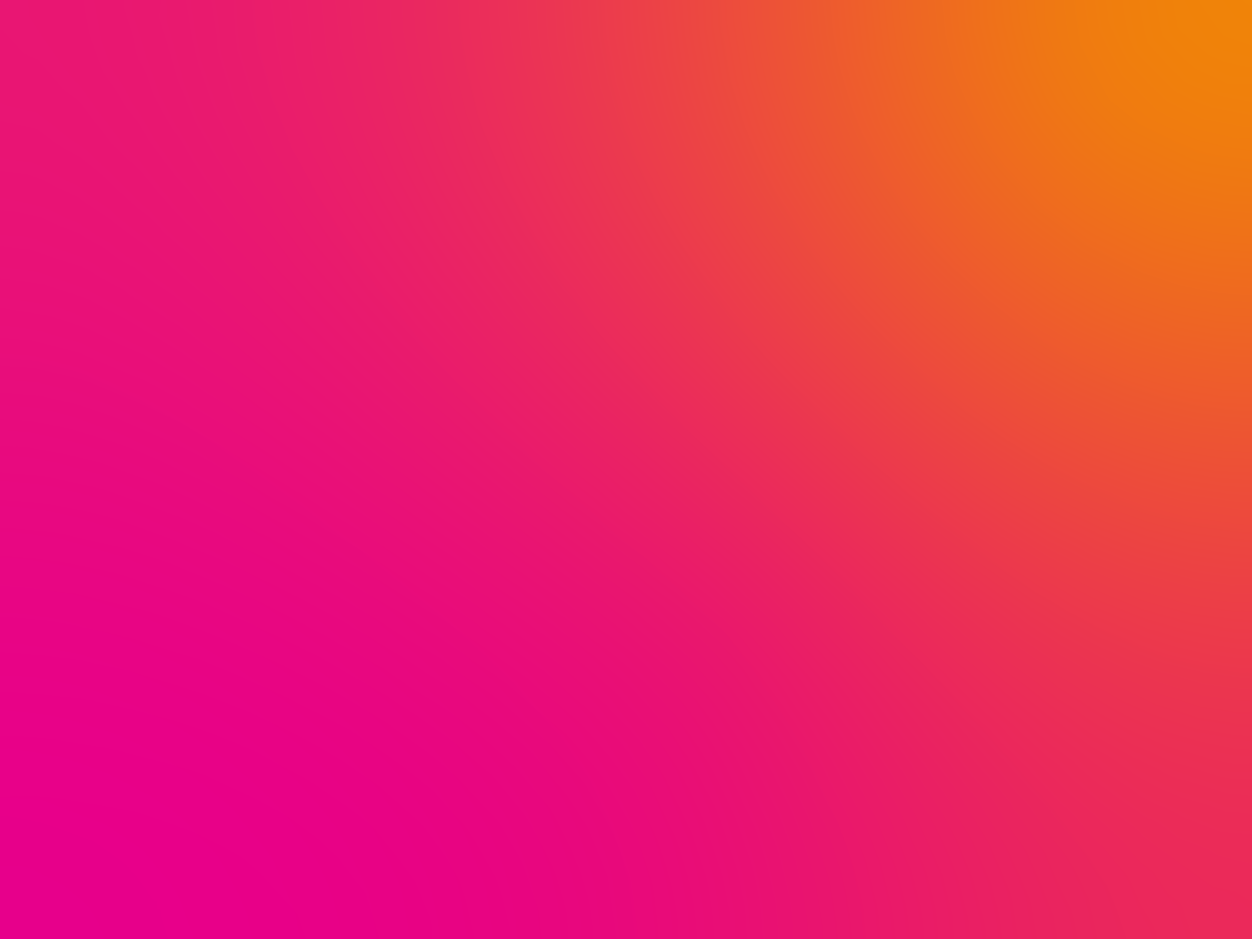 The Spirit Championships — THE SPIRIT NETWORK