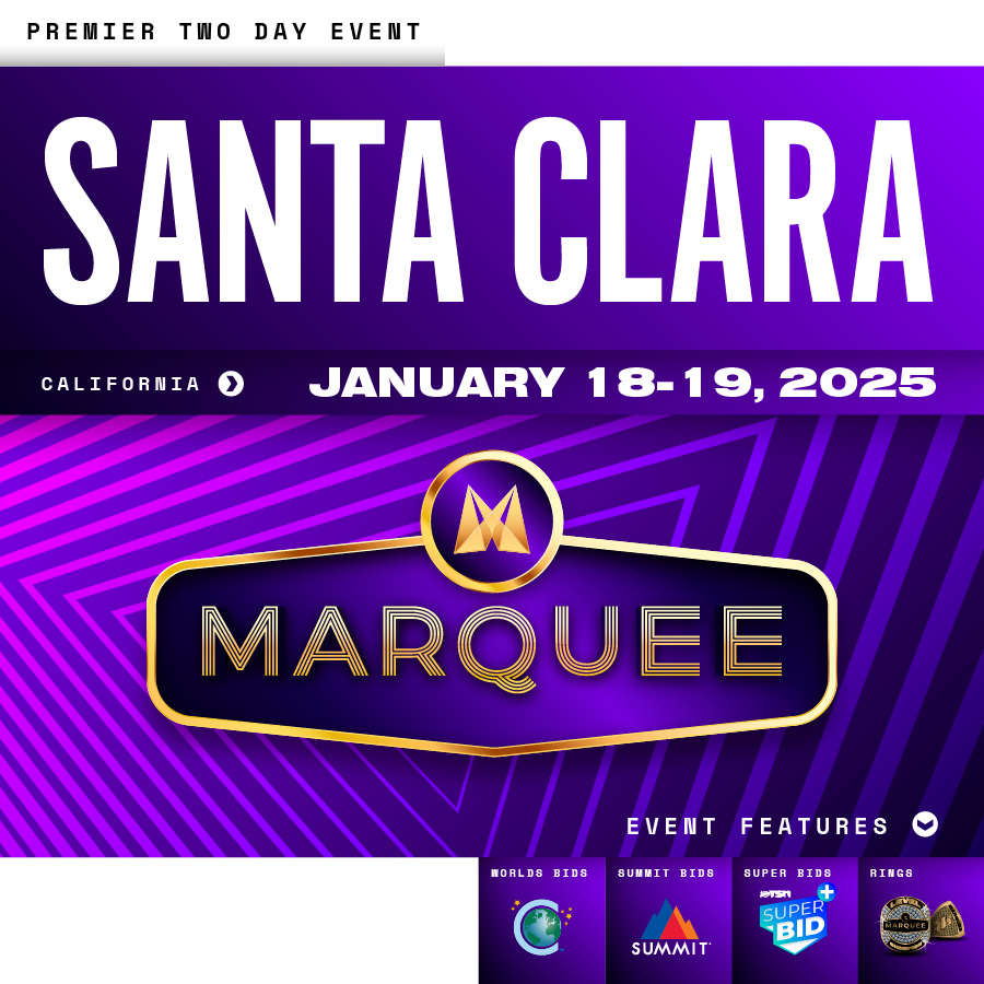 Marquee — THE SPIRIT NETWORK