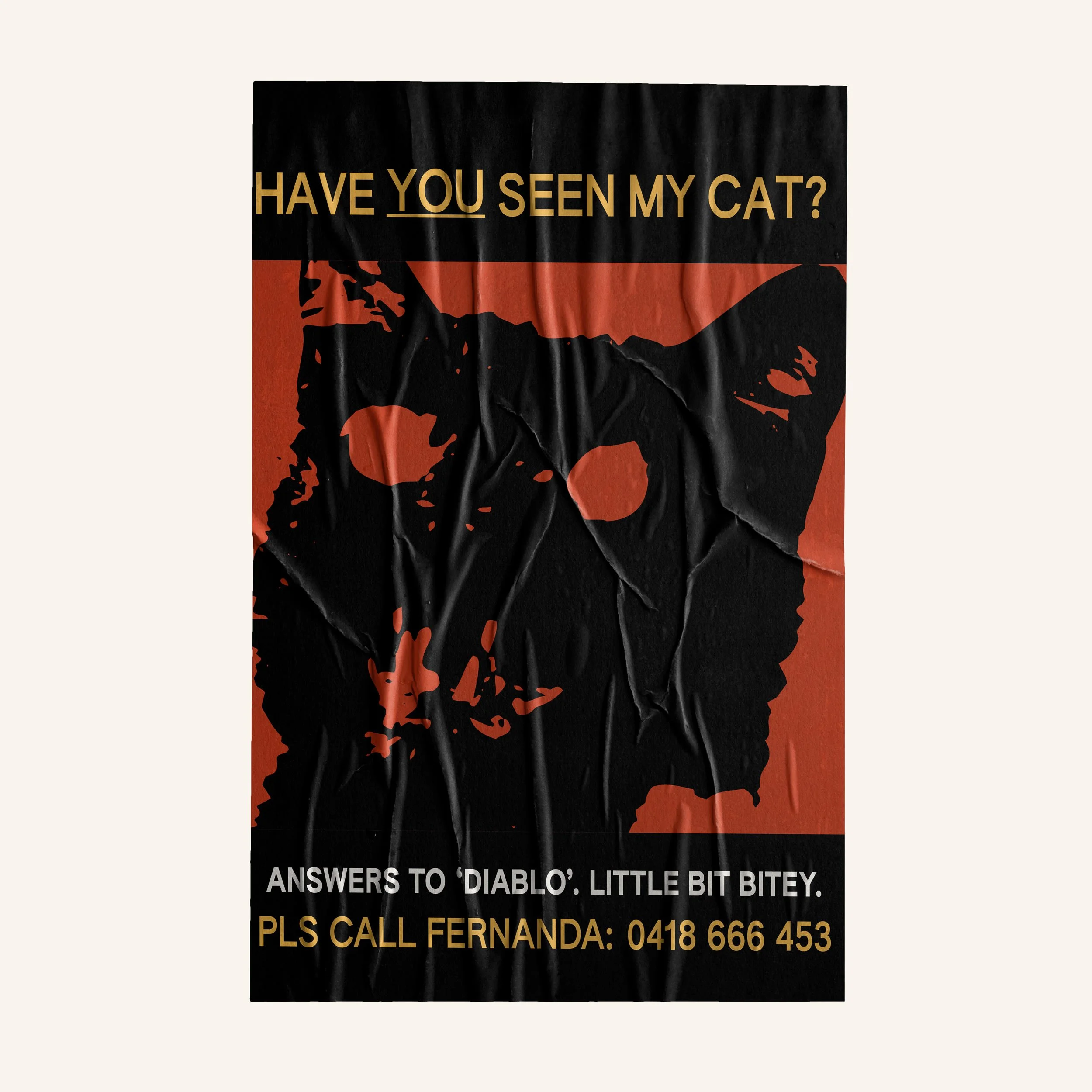 Bodega — Salumi Studio