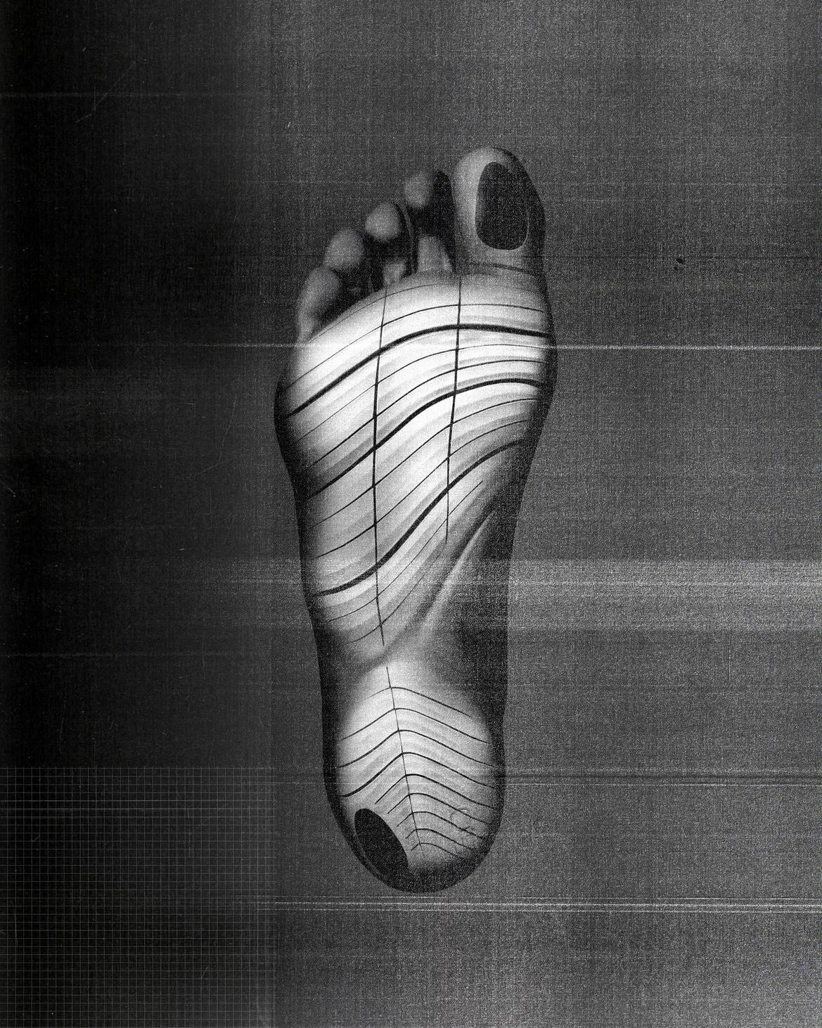Trust The Process: Nike Free — CONCEPTKICKS®
