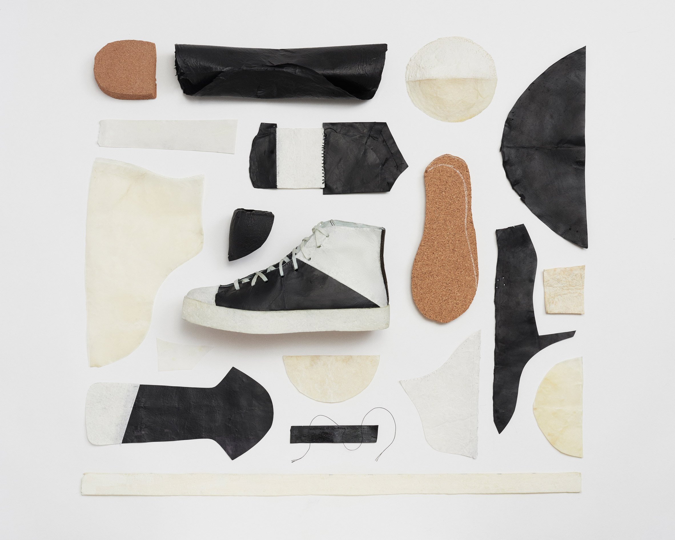Sole Systems 006: Biomimicry — CONCEPTKICKS®