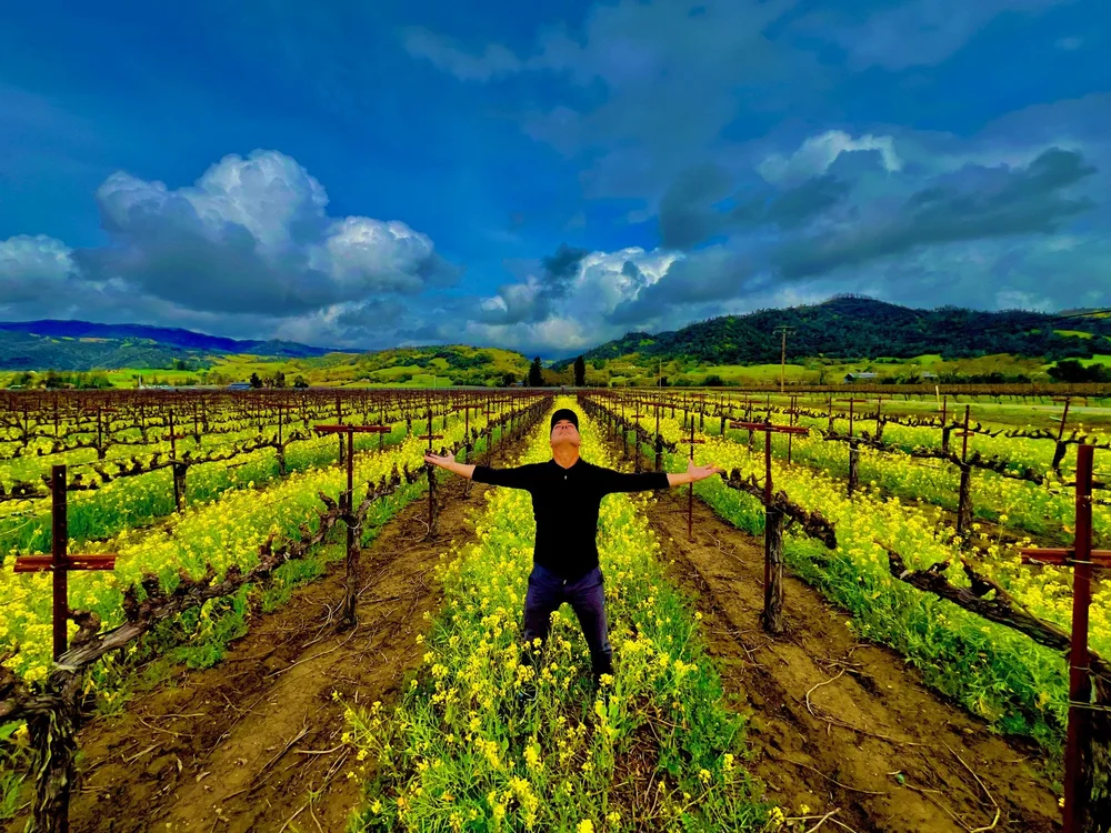 A 5-DAY PROVENCE, FRANCE EXPERIENCE WITH MUSICIAN MINDI ABAIR & WINE ...