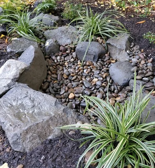 Portland Rain Gardens for Stormwater Runoff Management — Design Build ...