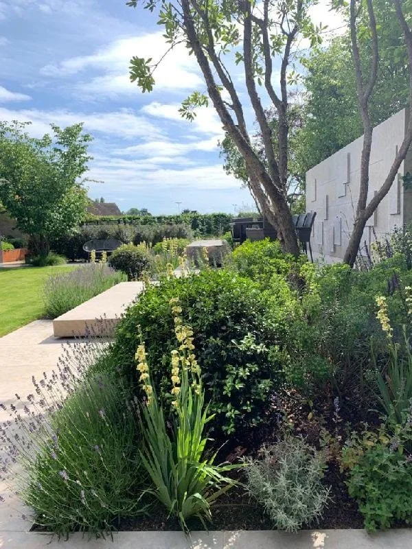 Thinking about a new garden? The best time is now | Alaster Anderson ...