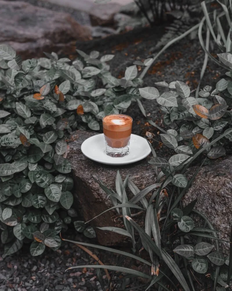 3 Zen Cafes in Kyoto