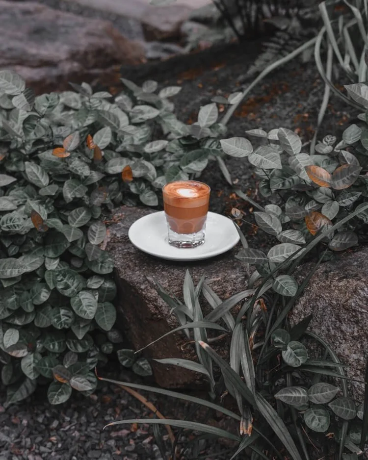 3 Zen Cafes in Kyoto