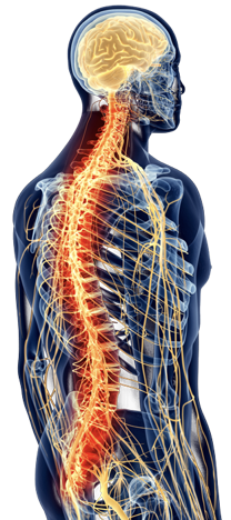 WHAT IS NIS — OPUS NEURO HEALTH