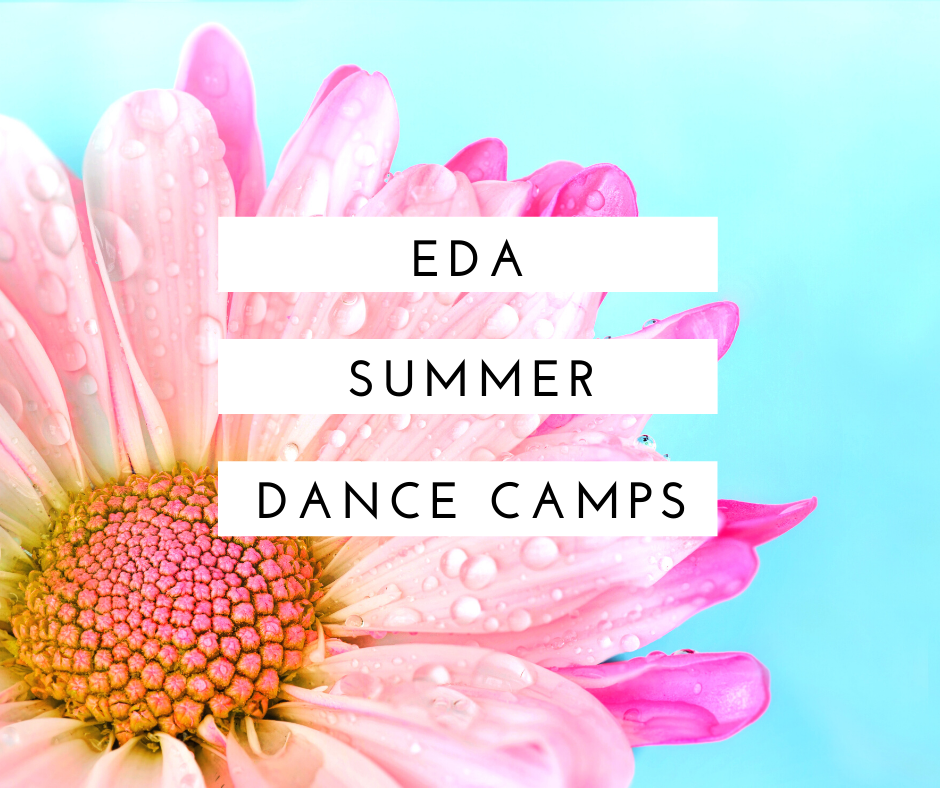 Elle Dance Academy