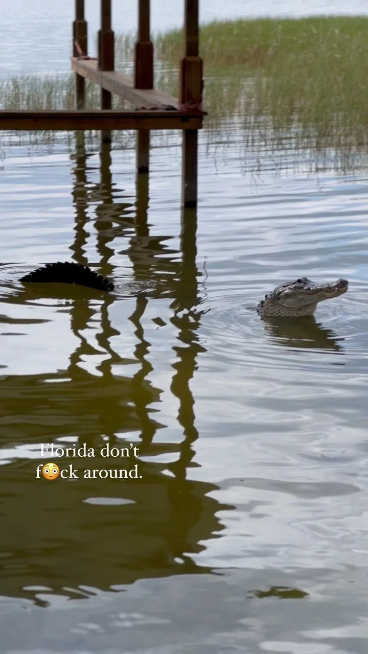 How to Make a Passion Orange Guava (POG) Cake Using Boxed Cake Mix ...