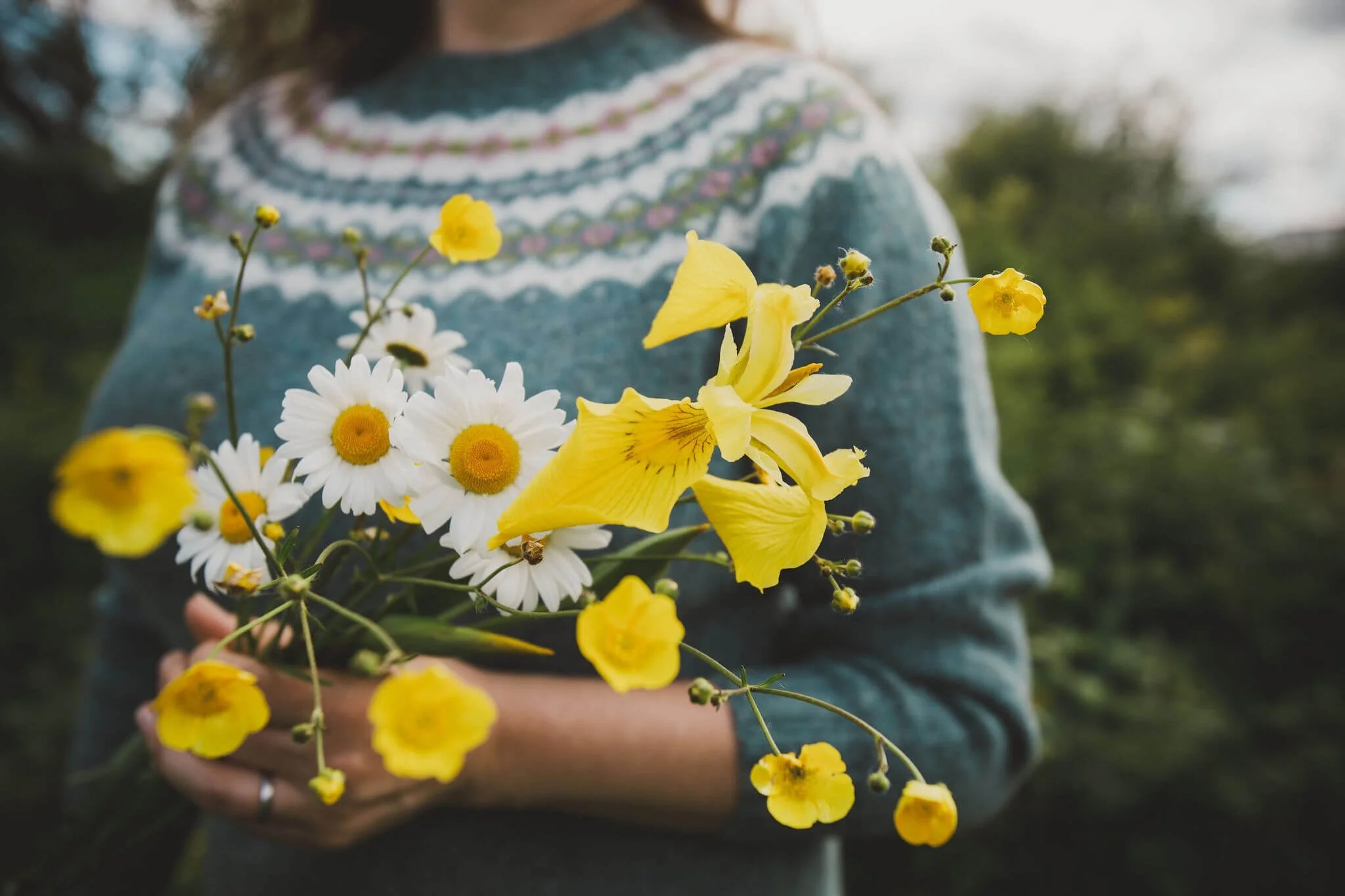 The Numinous Network — Carmen Spagnola | Truth, Spirit, Justice and Healing