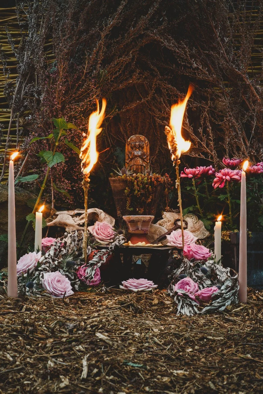 The Spirited Kitchen Cookbook — Carmen Spagnola | Truth, Spirit ...