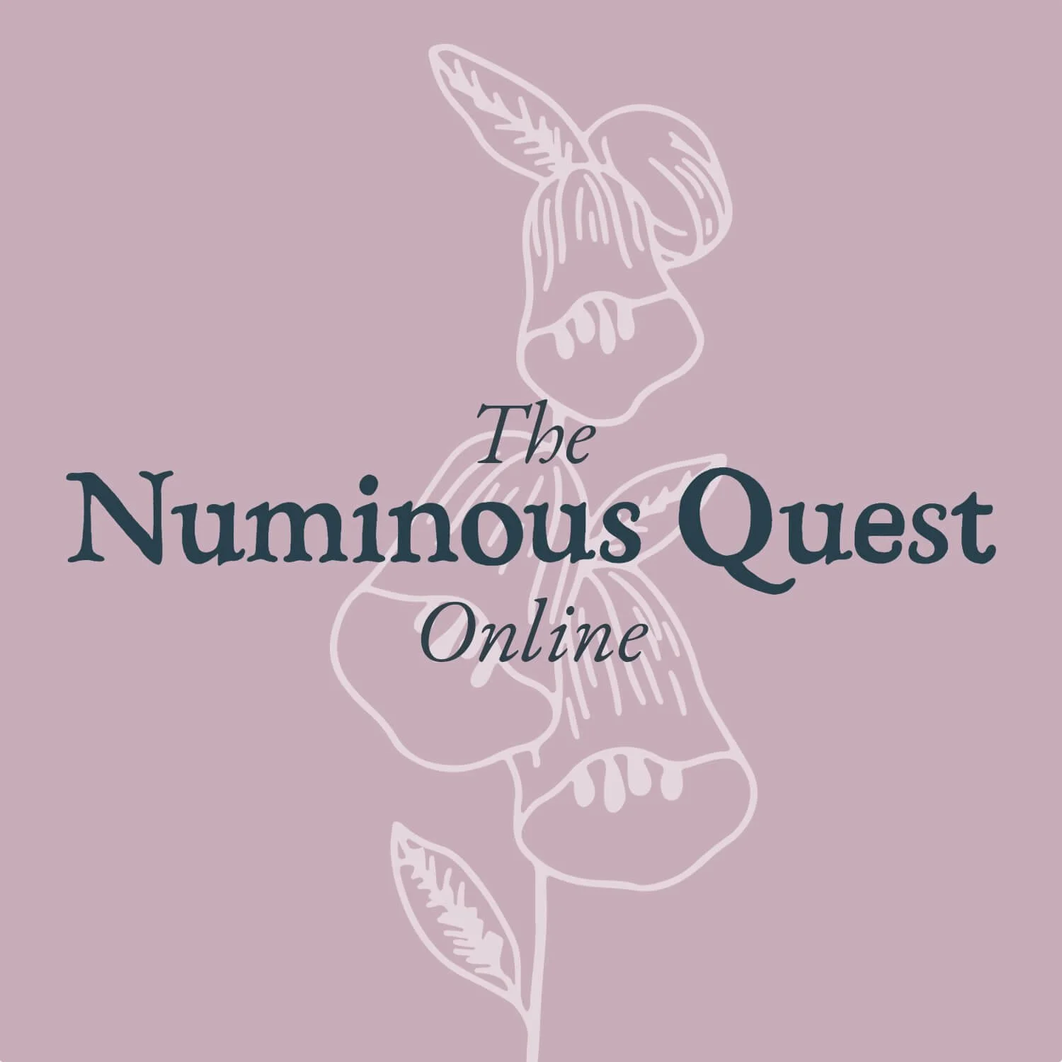The Numinous Network — Carmen Spagnola | Truth, Spirit, Justice and Healing