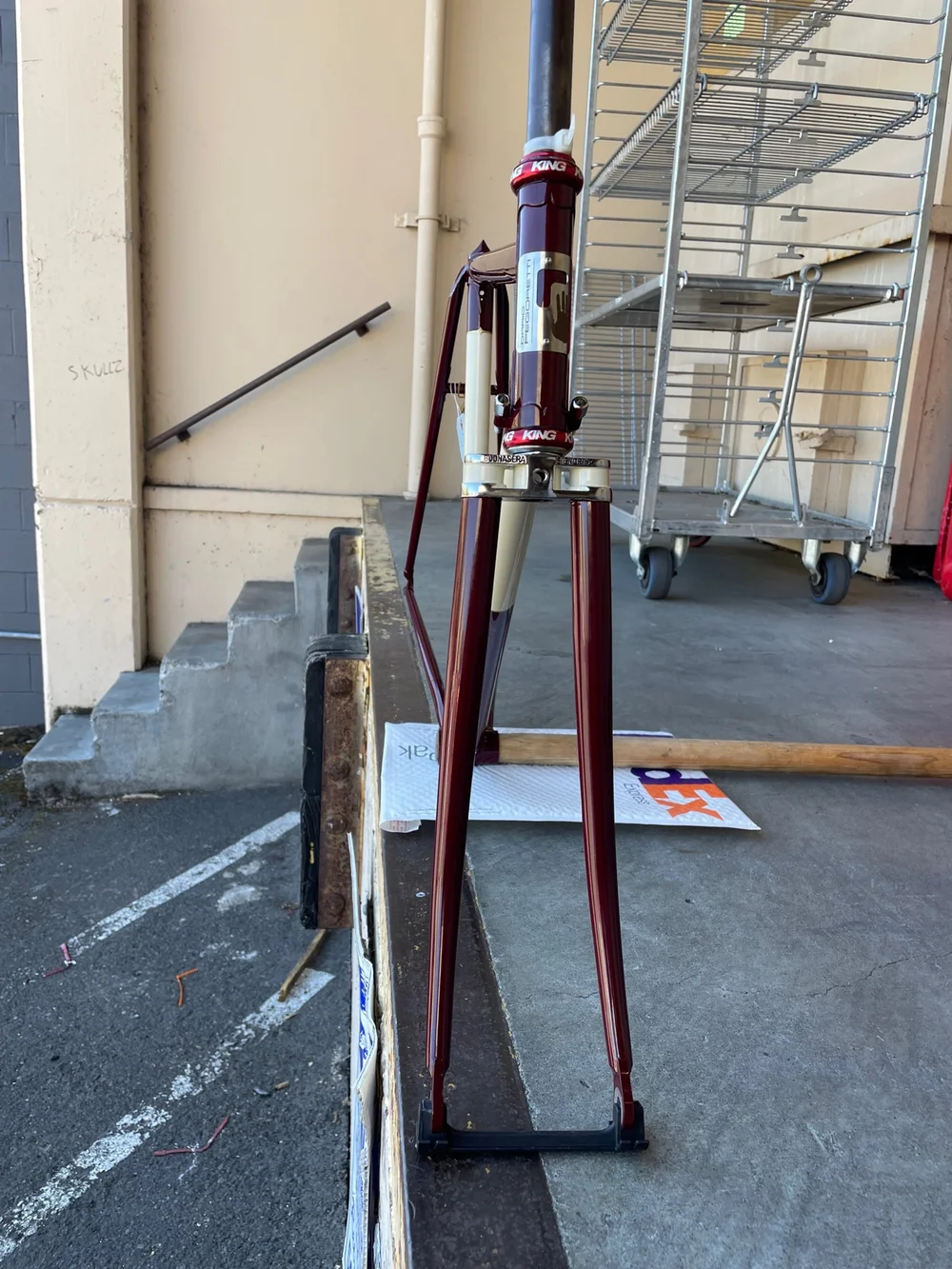 Gallery 3 — Pegoretti Inventory - Lakeside Bicycles