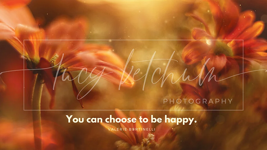 Cheerful Wallpaper