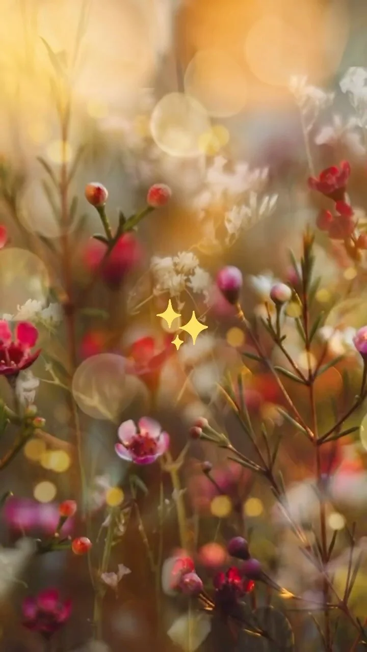 HOW TO USE BOKEH OVERLAYS + FREE OVERLAY — LUCY KETCHUM