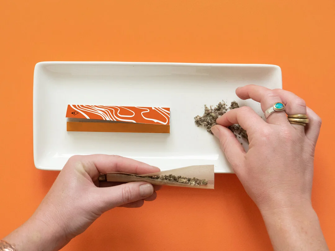 The Kombucha Paper