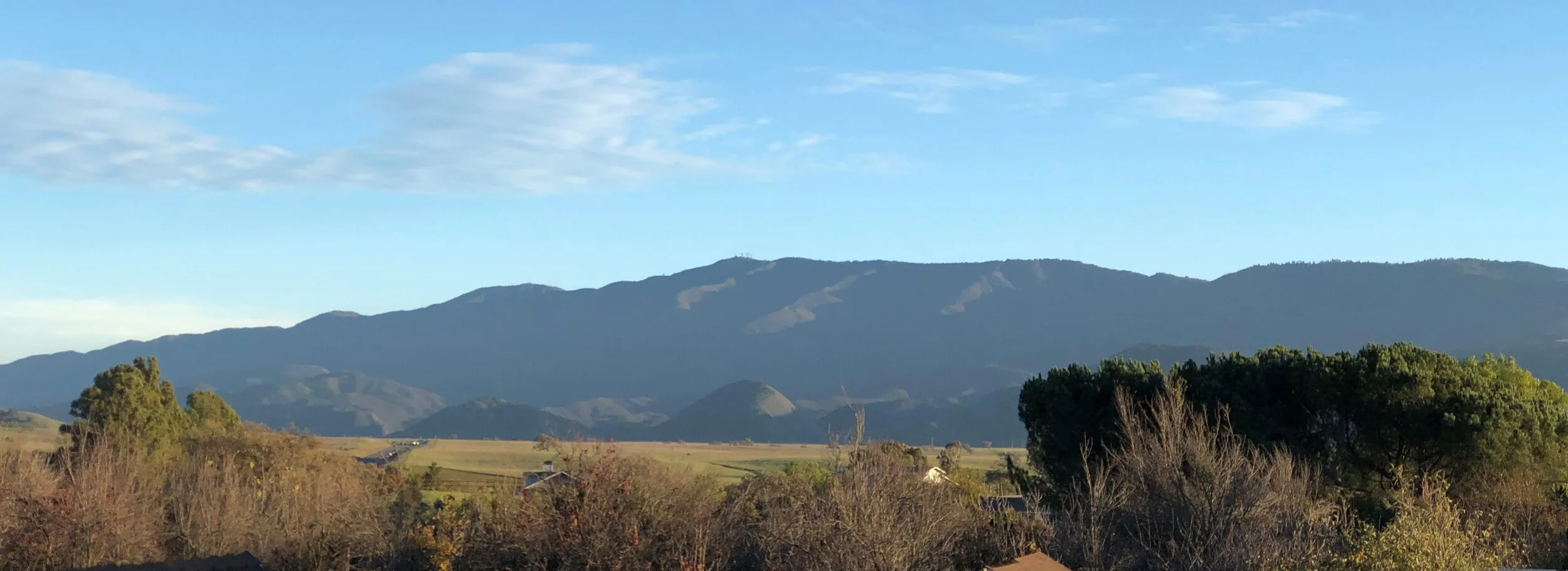 Services — The Ruff Ranch