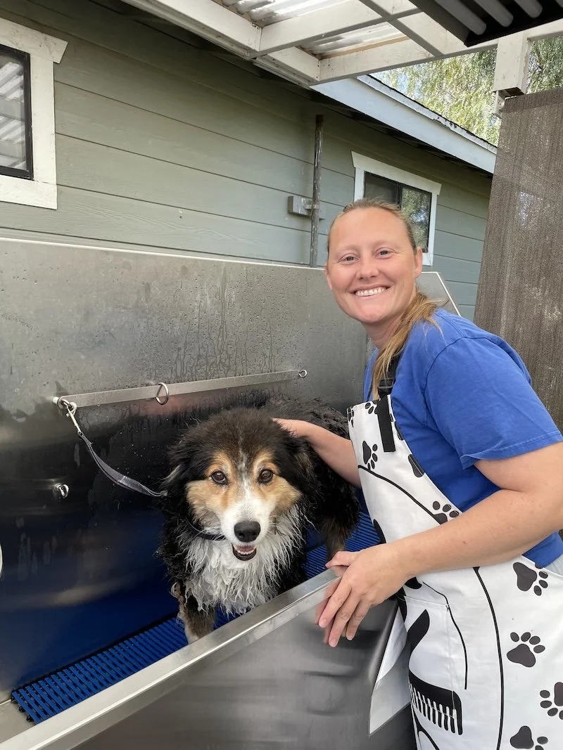 Services — The Ruff Ranch