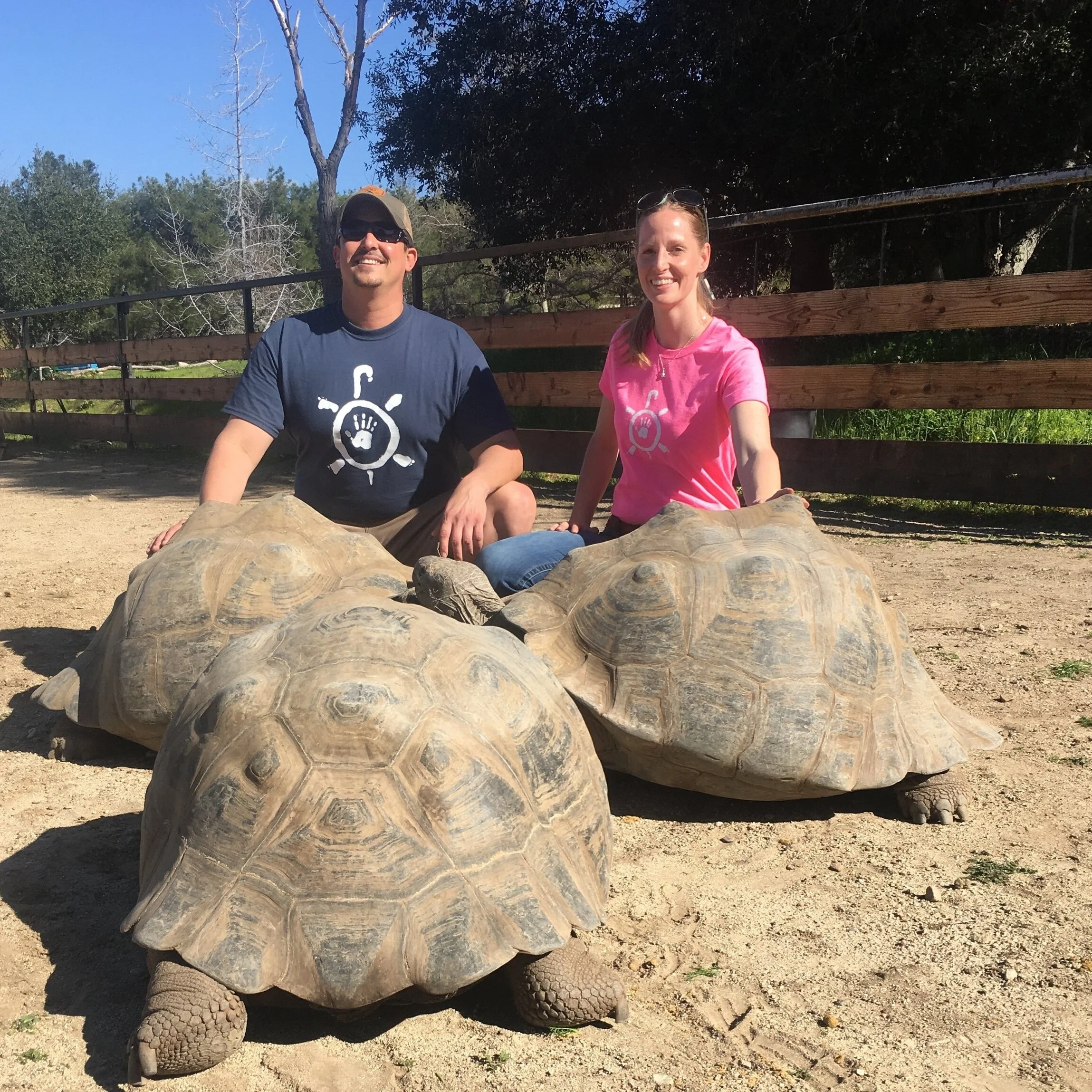 Rodriguez Chelonians