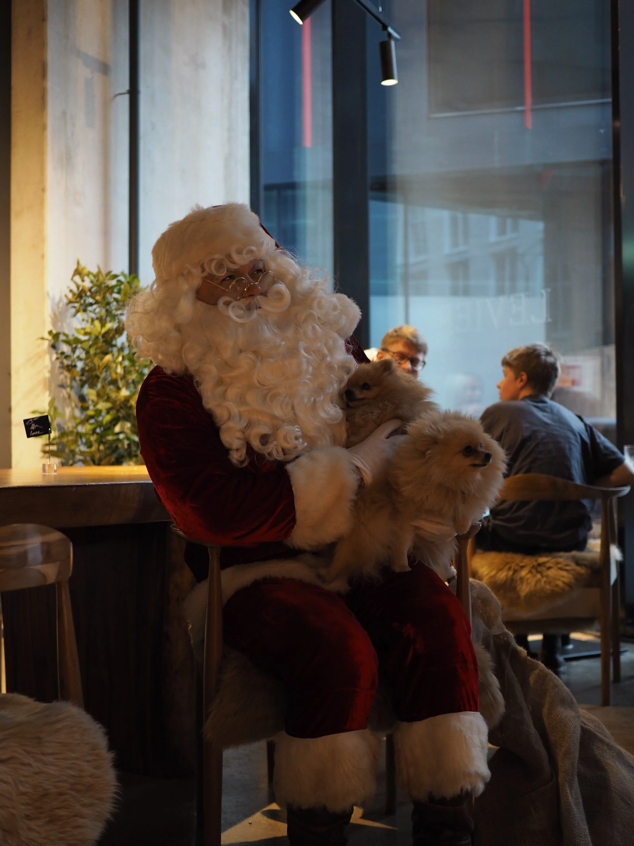 Levier - Parimad makroonid linnas