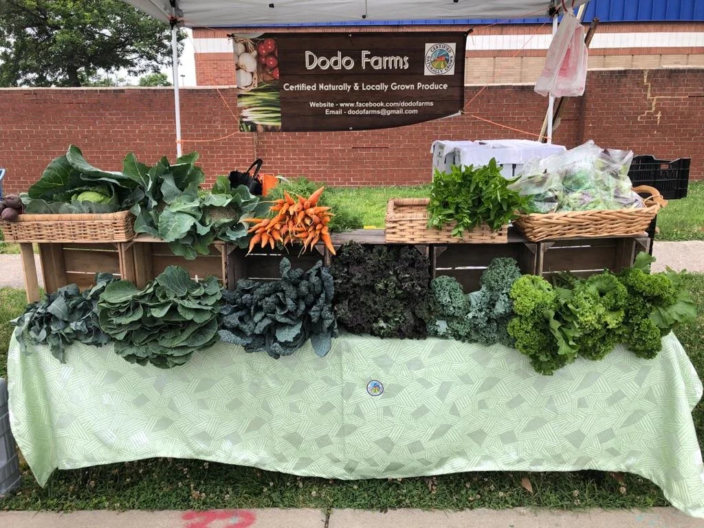 Shop — Dodo Farms