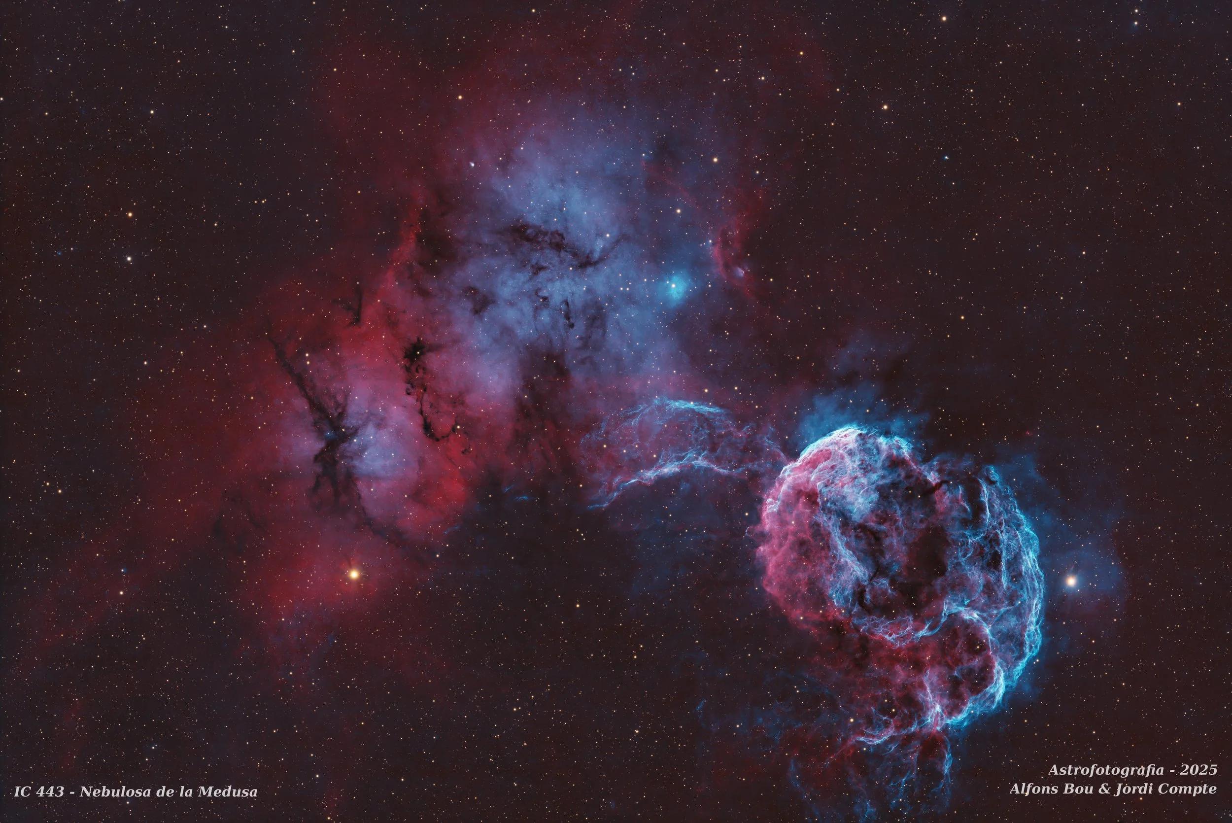 All 2025 Images — AAPOD2.COM