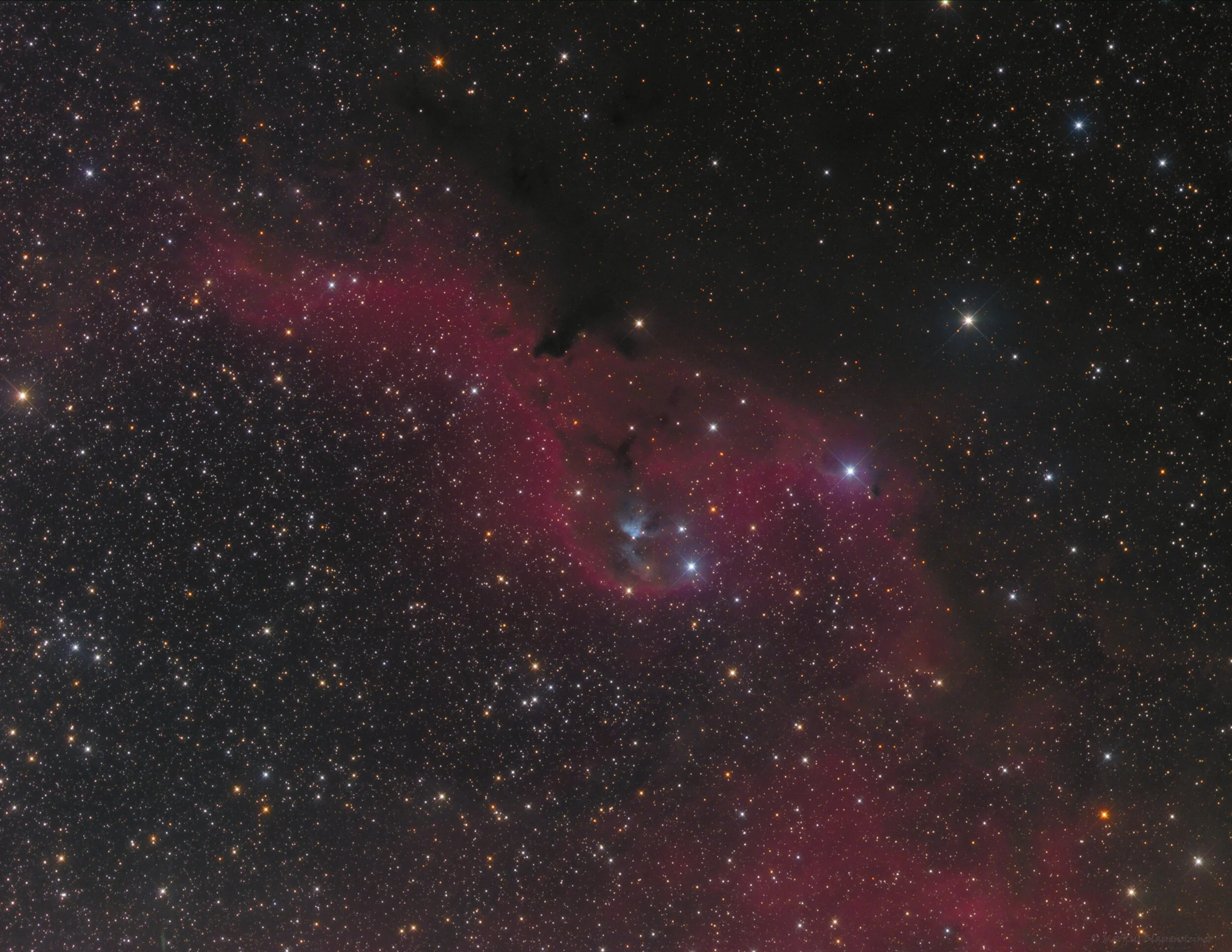 Cederblad 51 in Orion — AAPOD2.COM