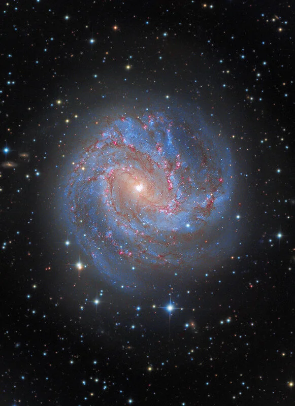 Southern Pinwheel Galaxy [aka M83] — Amateur Astronomy Image of the Day ...