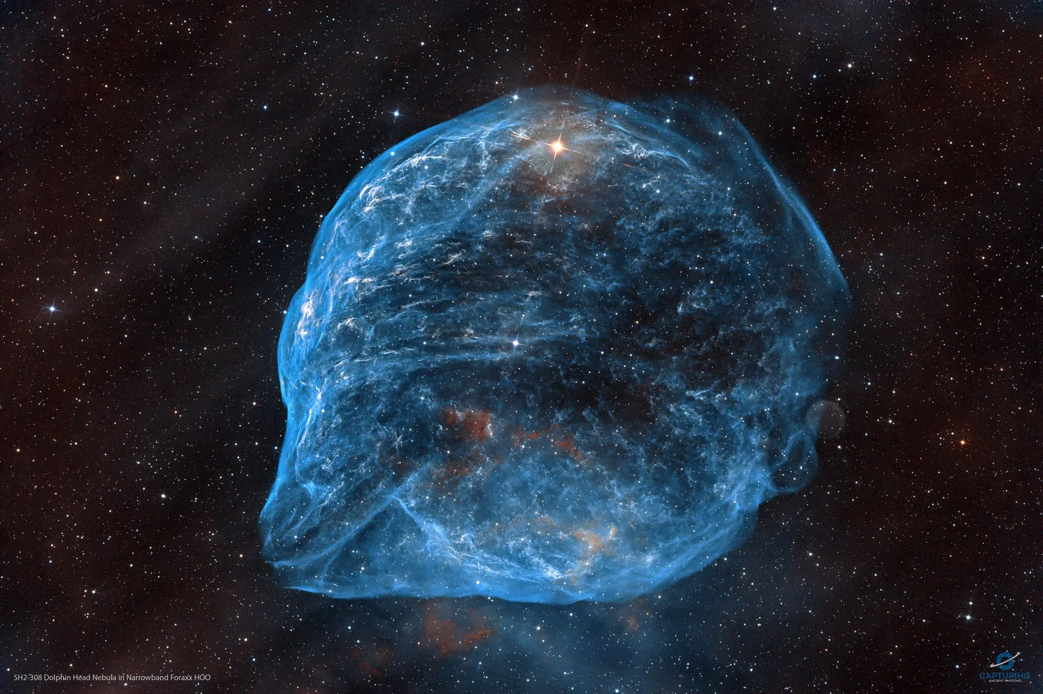 SH2-308 Dolphin Head Nebula — AAPOD2.COM