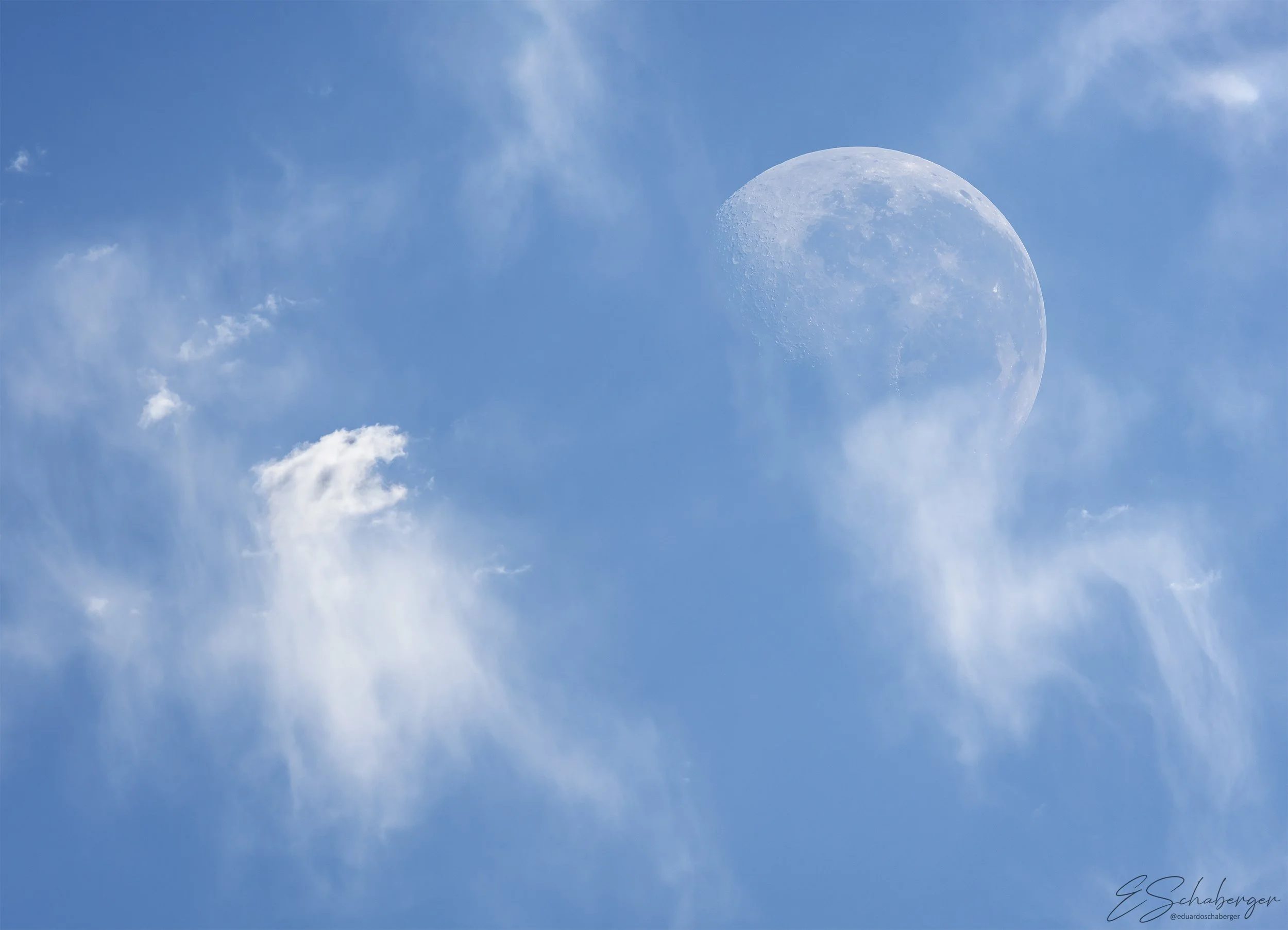 The moon and the lioness — AAPOD2.COM