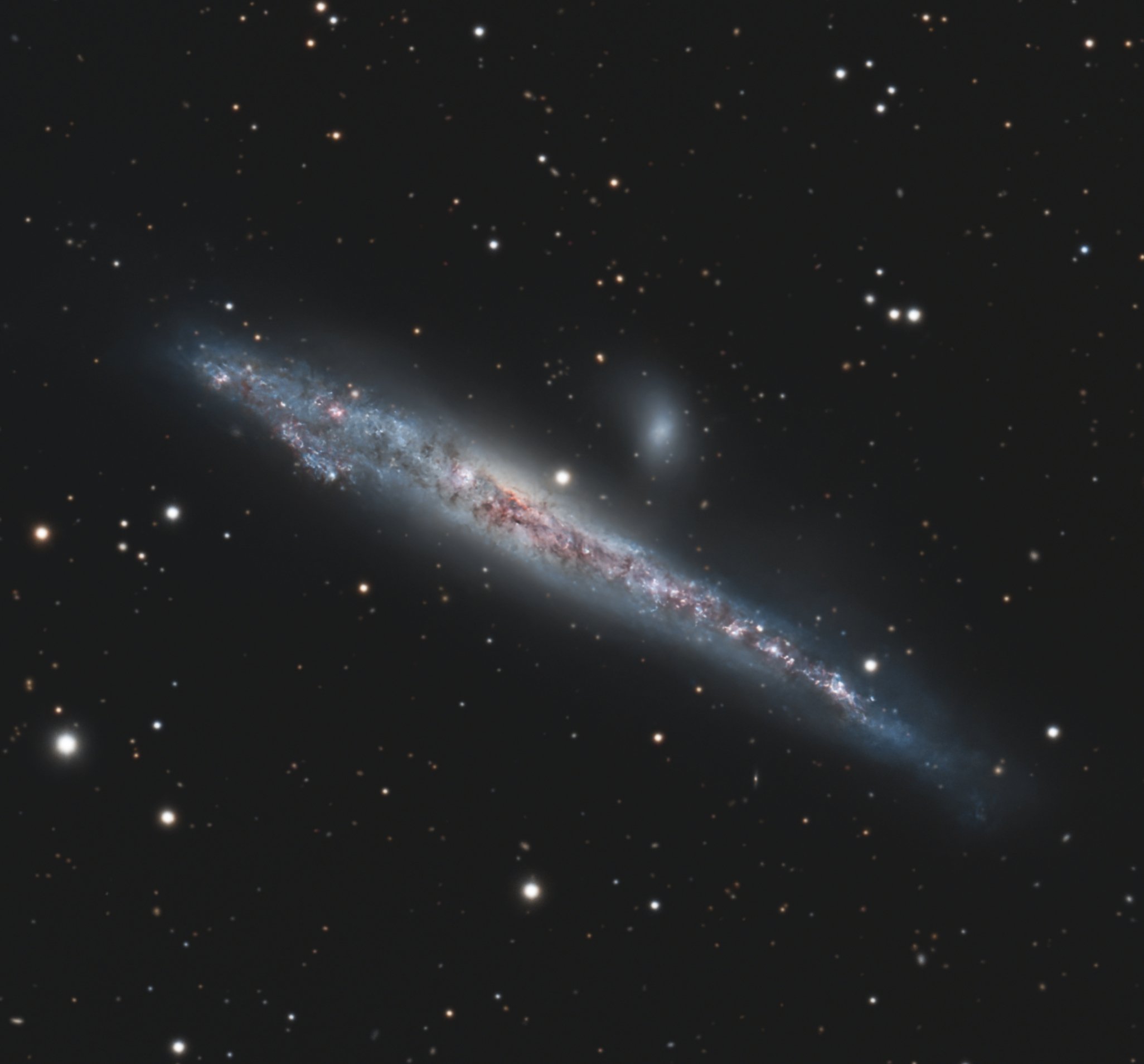 NGC 4631 - Whale Galaxy — AAPOD2.COM