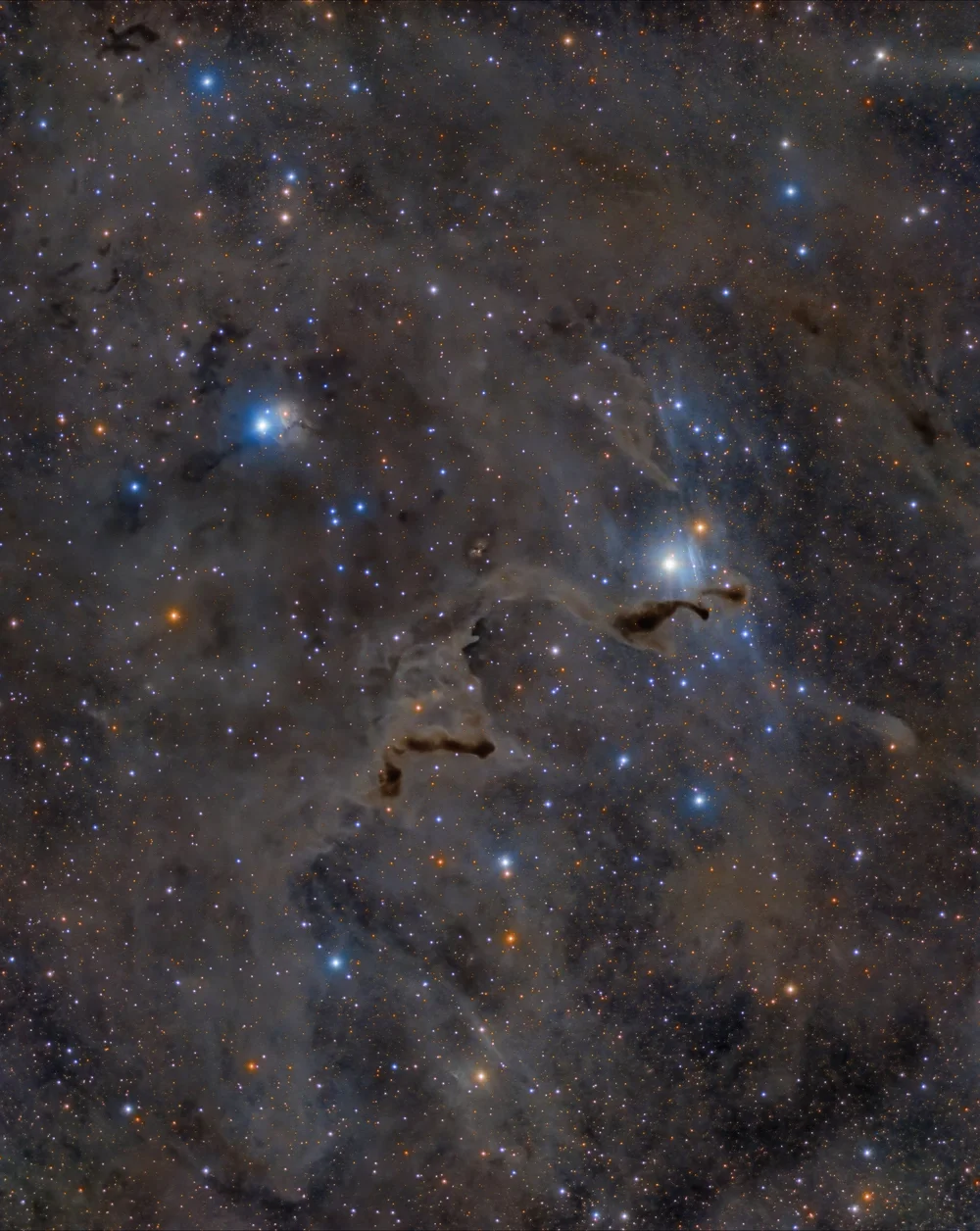 LDN1355 — AAPOD2.COM