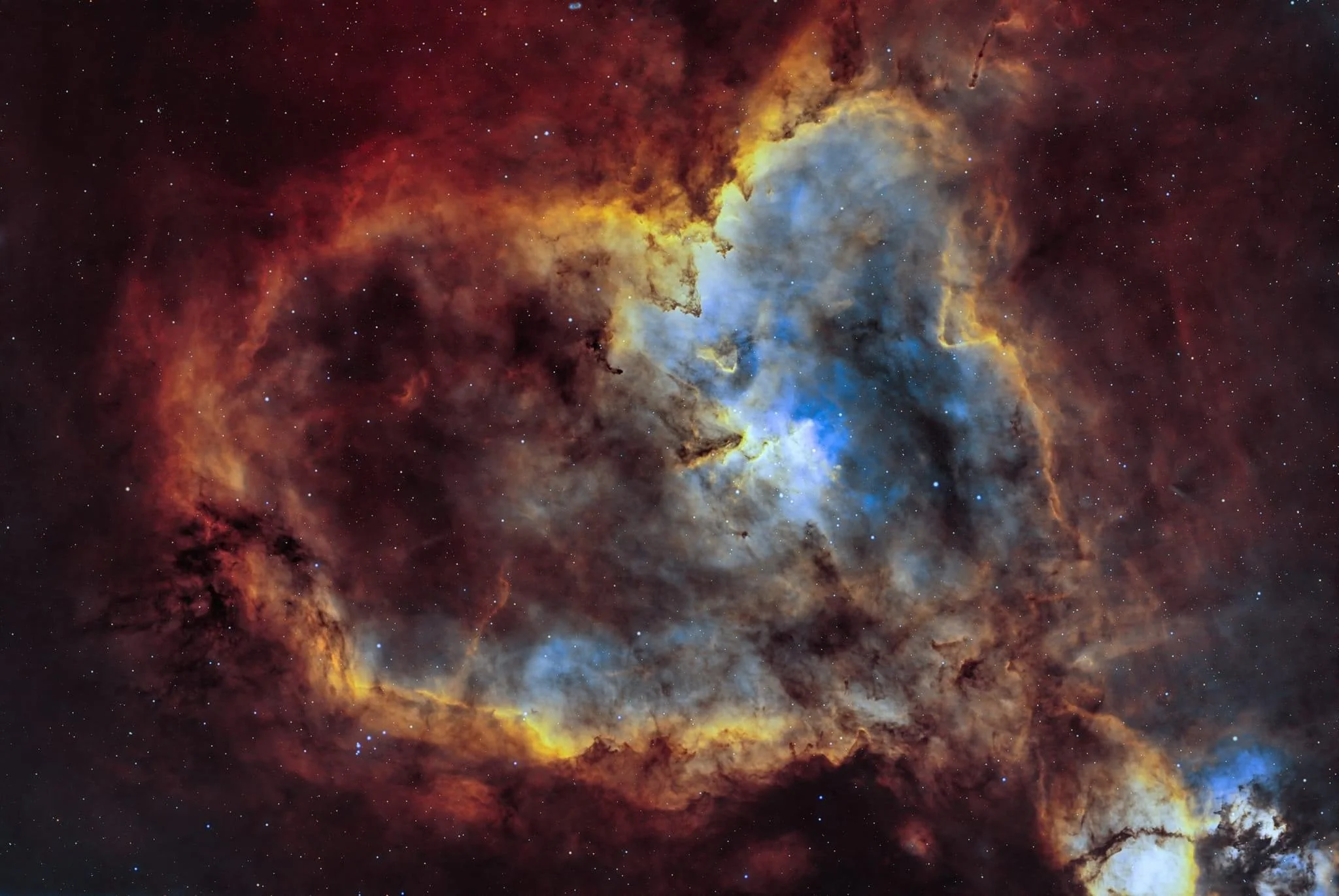 Anatomy of the Heart — AAPOD2.COM