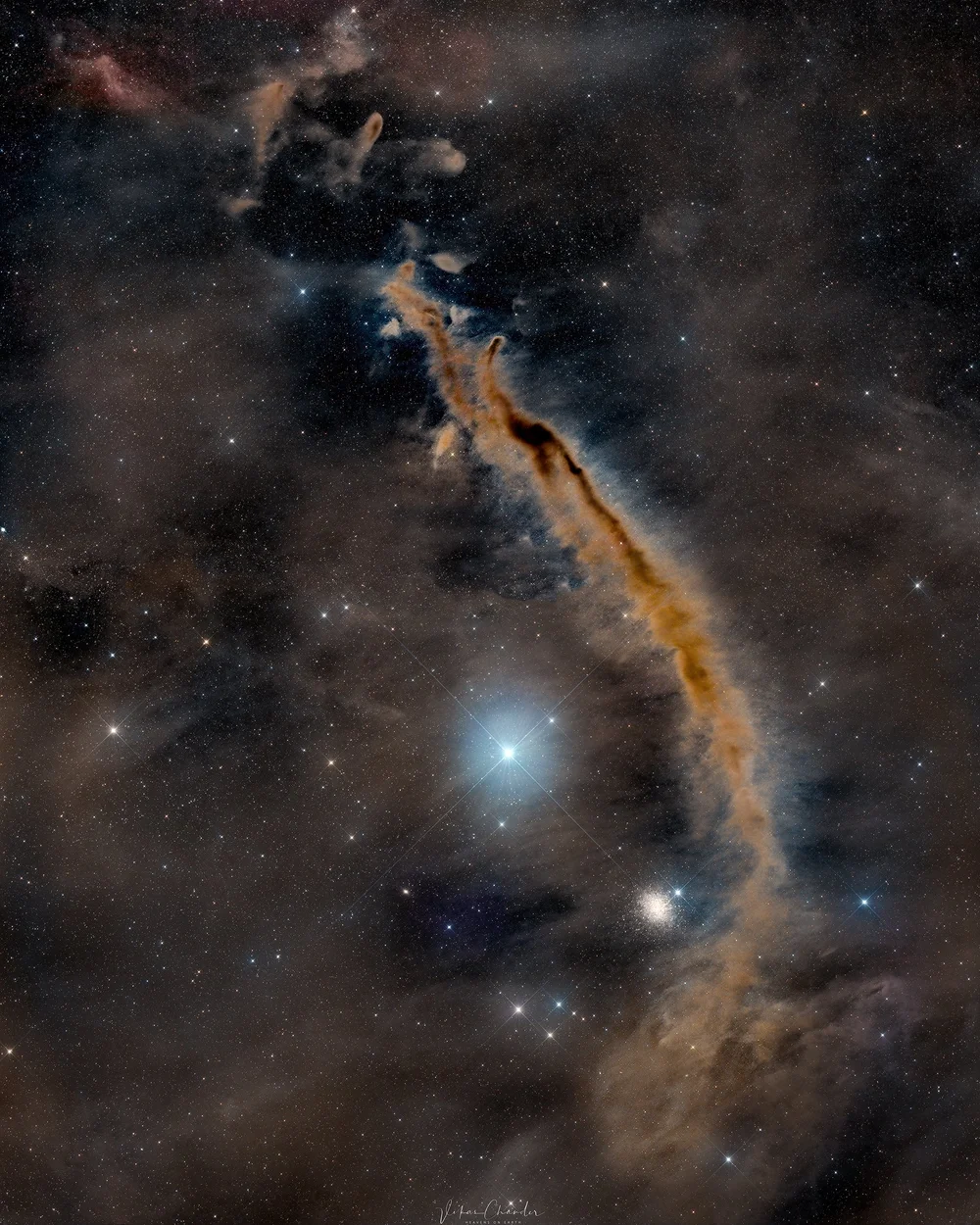 The Millipede — AAPOD2.COM