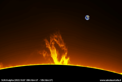 Prominence evolution — AAPOD2.COM